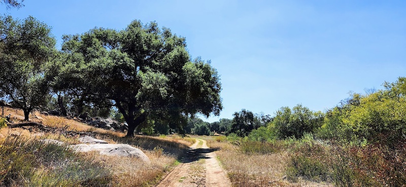 Ramona Grasslands County Preserve, Ramona Mountain Biking Trails ...
