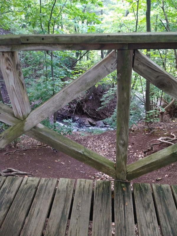 Seneca Park Trail Multi Trail - Rochester, NY