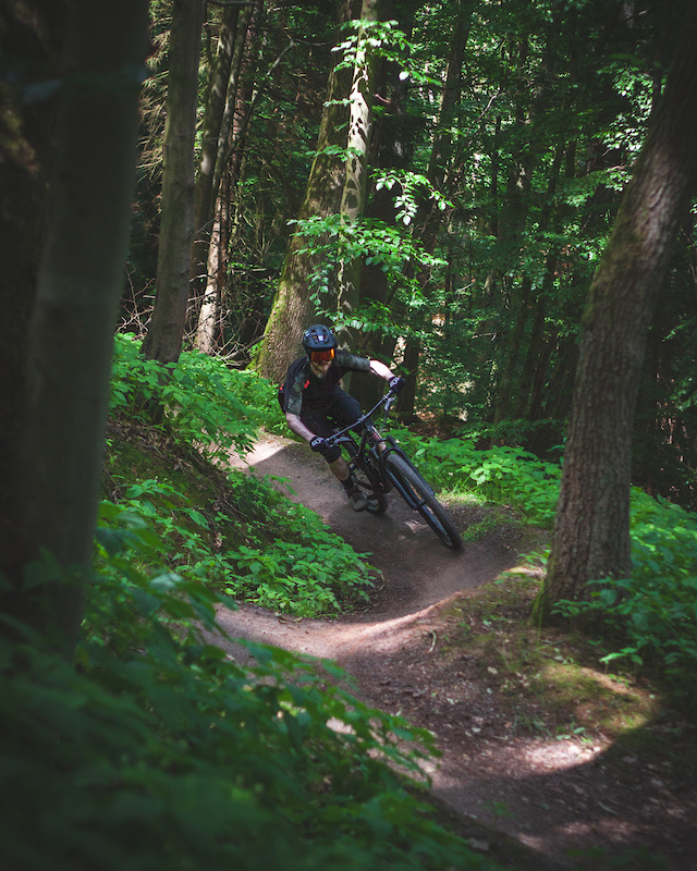 Flow Trail Bad Salzdetfurth Downhill Mountain Biking Trail