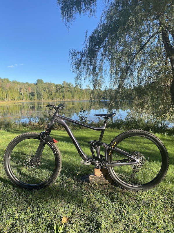 2022 Giant reign 29 For Sale