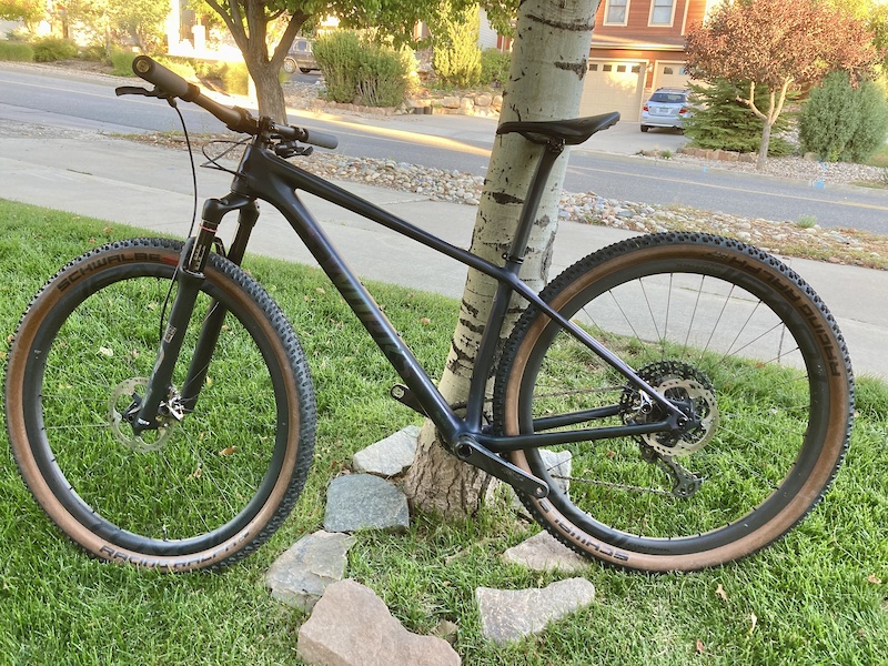 2020 S-Works Epic Hardtail For Sale