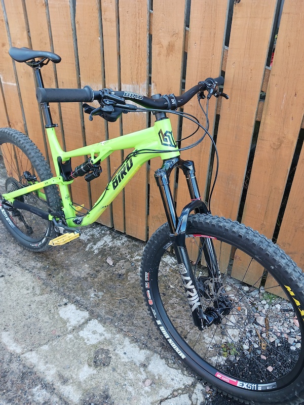 Bird AM160 Large 2 For Sale