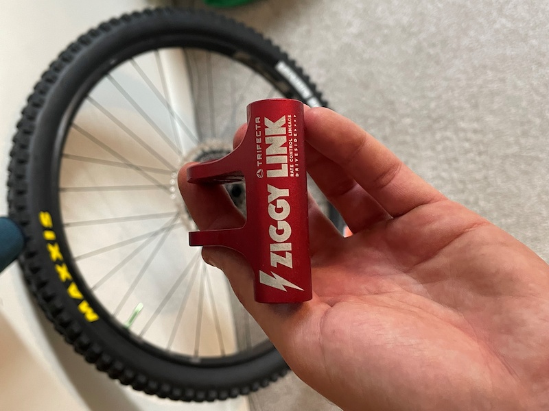 2021 Forbidden Ziggy link For Sale