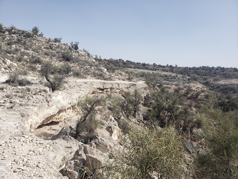 Cliffrose Hiking Trail - Cottonwood, AZ | Trailforks