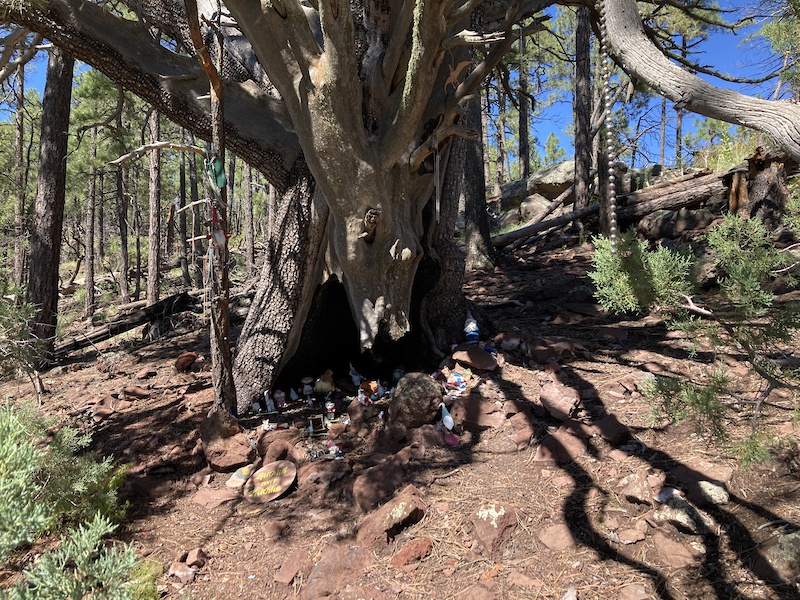 Pat Mullen Mountain via Country Club Mountain Biking Route | Trailforks