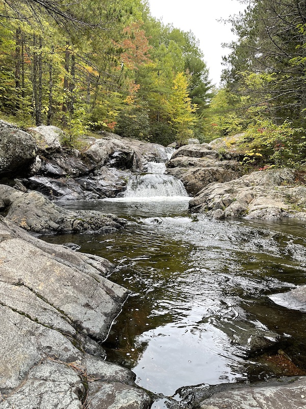 Howe Brook Trail Hiking Trail - - Maine | Trailforks