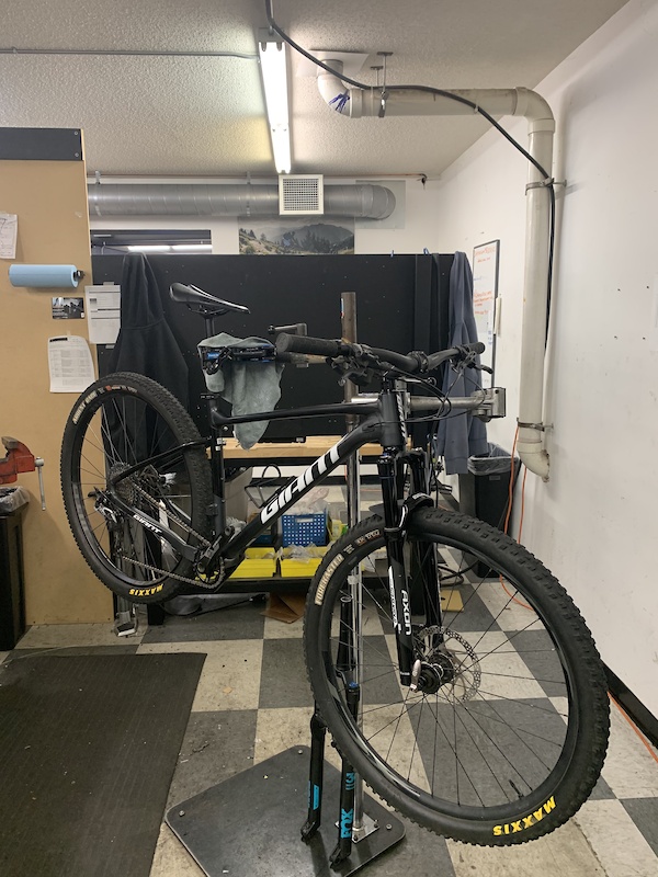 2019 Gaint Fathom Large For Sale