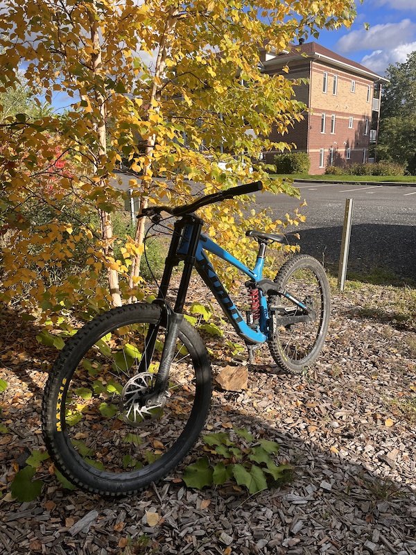 2017 Large Kona Operator For Sale