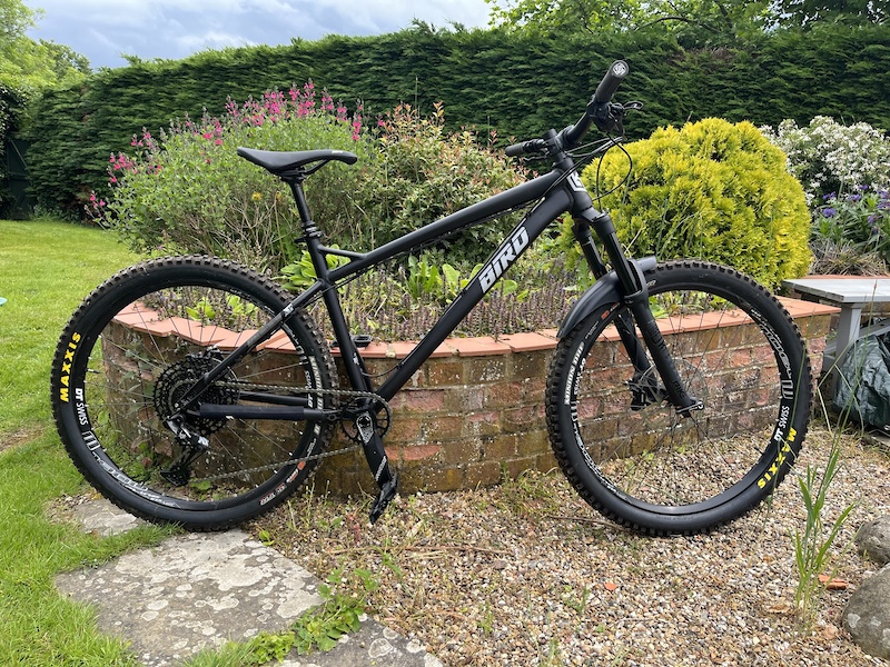 2019 Bird Zero AM - Large For Sale