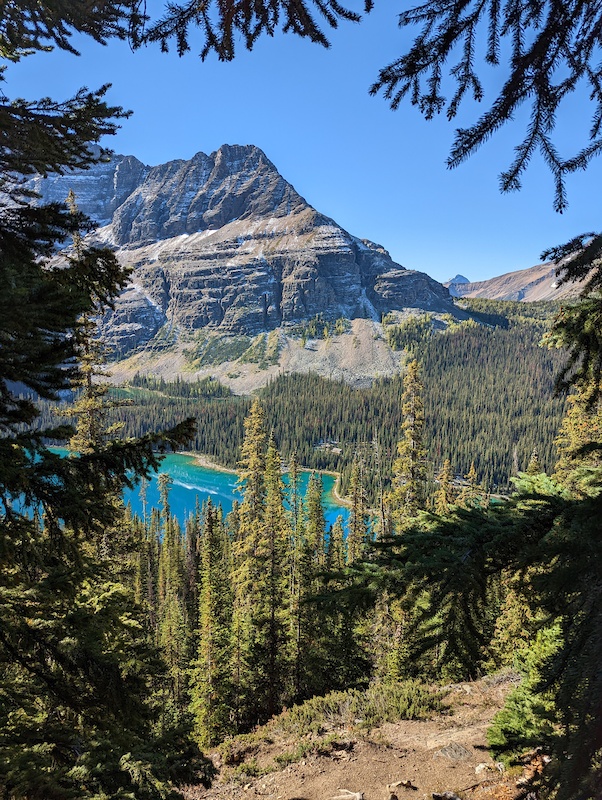 Wiwaxy Gap Hiking Trail - - Alberta | Trailforks