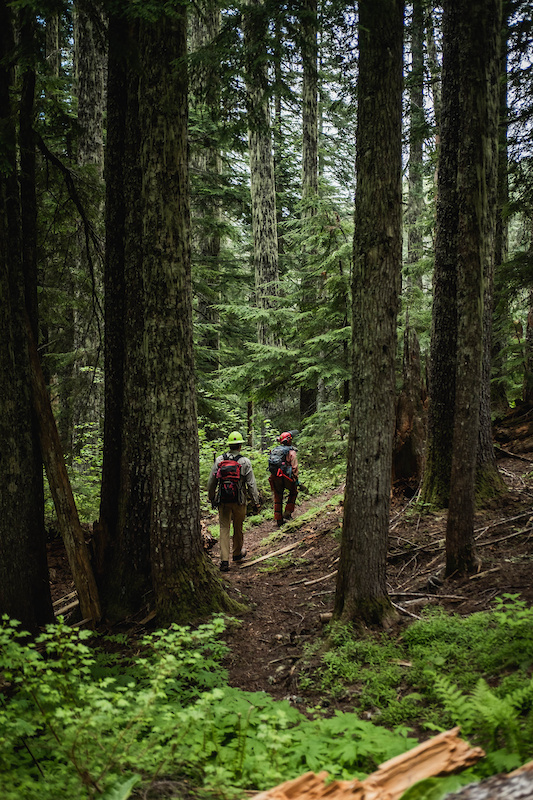 Gordon Lakes Trail Mountain Biking Trail - Sweet Home