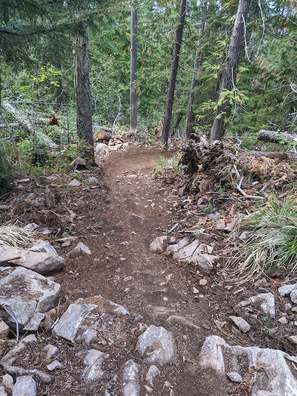 Blue Steel Mountain Biking Trail - Nelson, BC