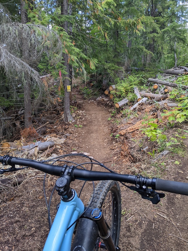 Blue Steel Mountain Biking Trail - Nelson, BC