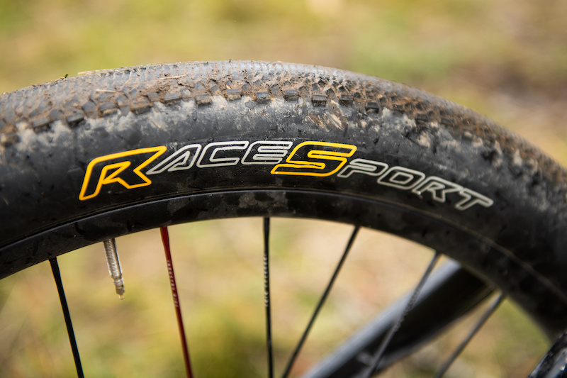 Looking for speed kings For Sale