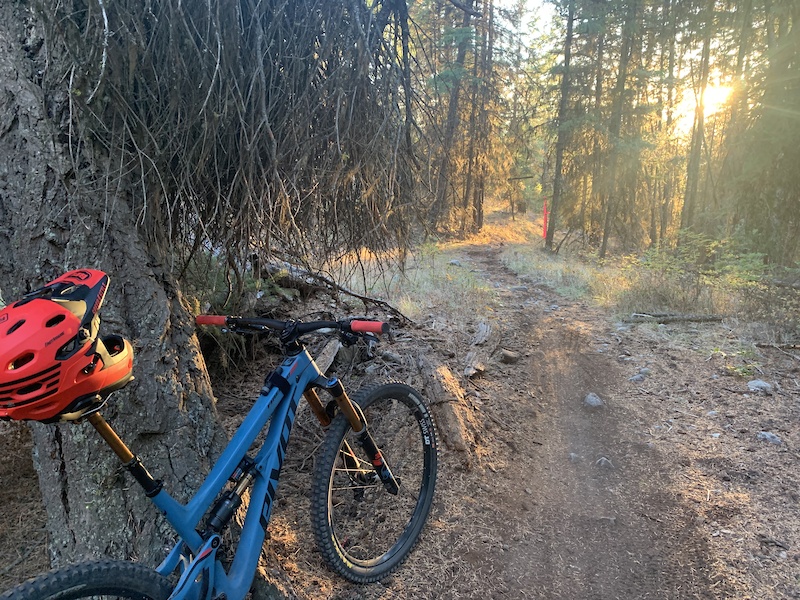 2020 Pivot Firebird large For Sale