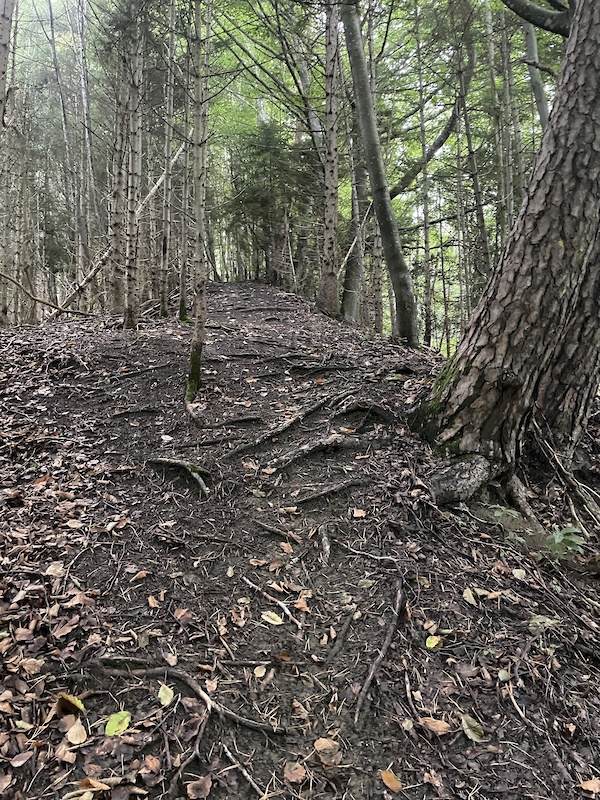 Höchsten West Upper Mountain Biking Trail