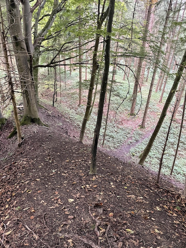 Höchsten West Upper Mountain Biking Trail