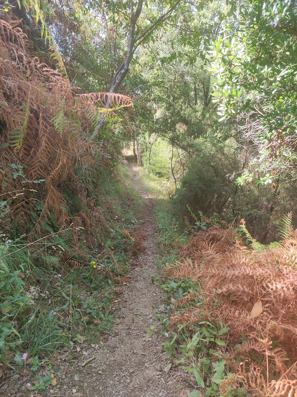 Overhang Multi Trail - Camaiore Trail Area, Camaiore