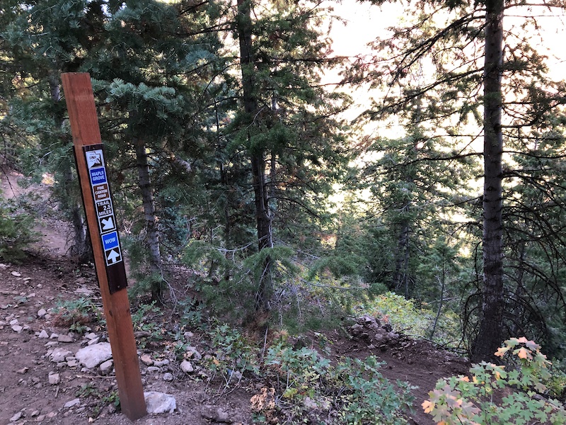 Maple Grove Multi Trail - Heber City, Utah | Trailforks