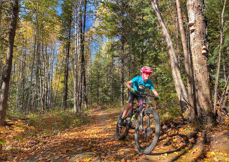 Tyrannosaurus Rock (T-Rock) Mountain Biking Trail - Valemount