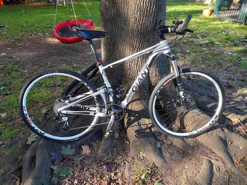 2013 Medium Giant Anthem x29 + wheels For Sale