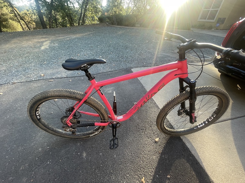 2019 Salsa Timberjack SLX - XL For Sale