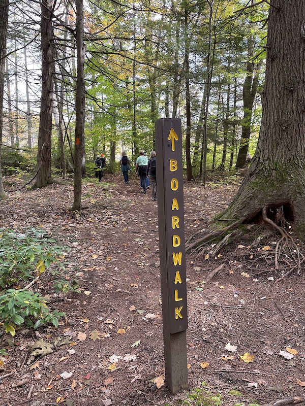 Beaver Brook Boardwalk Hiking Trail - Barkhamsted, CT