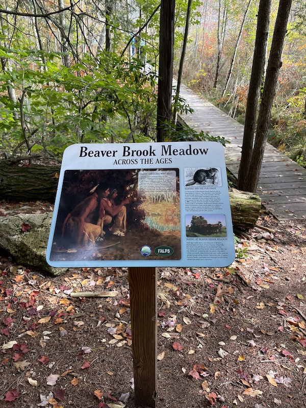 Beaver Brook Boardwalk Hiking Trail - Barkhamsted, CT