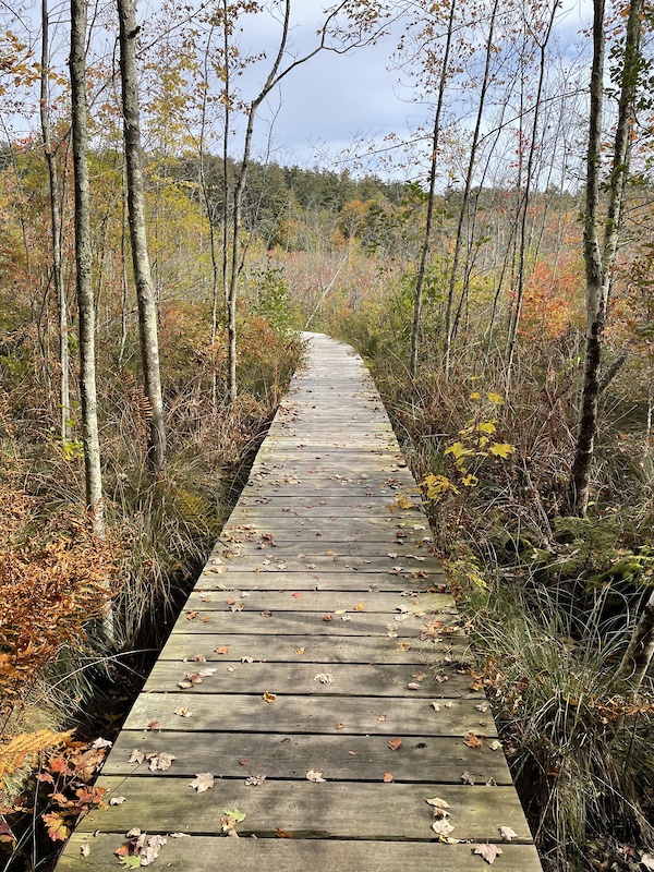 Beaver Brook Boardwalk Hiking Trail - Barkhamsted, CT