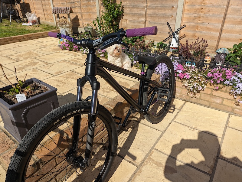 2019 Canyon stitched 360 For Sale