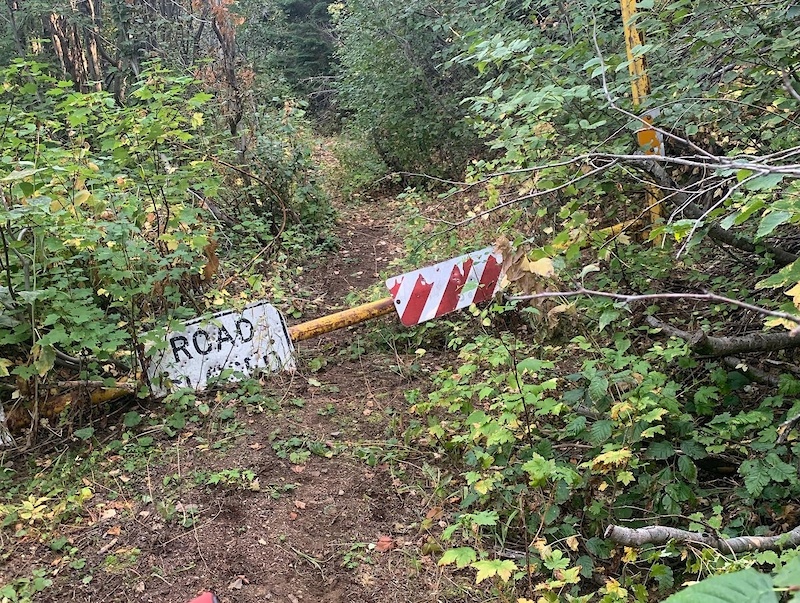 Tiger Creek Mountain Biking Trail - Walla Walla, WA
