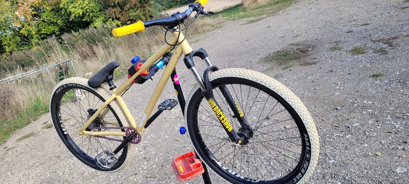 2020 Custom Dirt Jumper For Sale