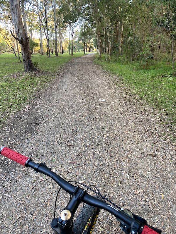 Koala Track Mountain Biking Trail - | Trailforks