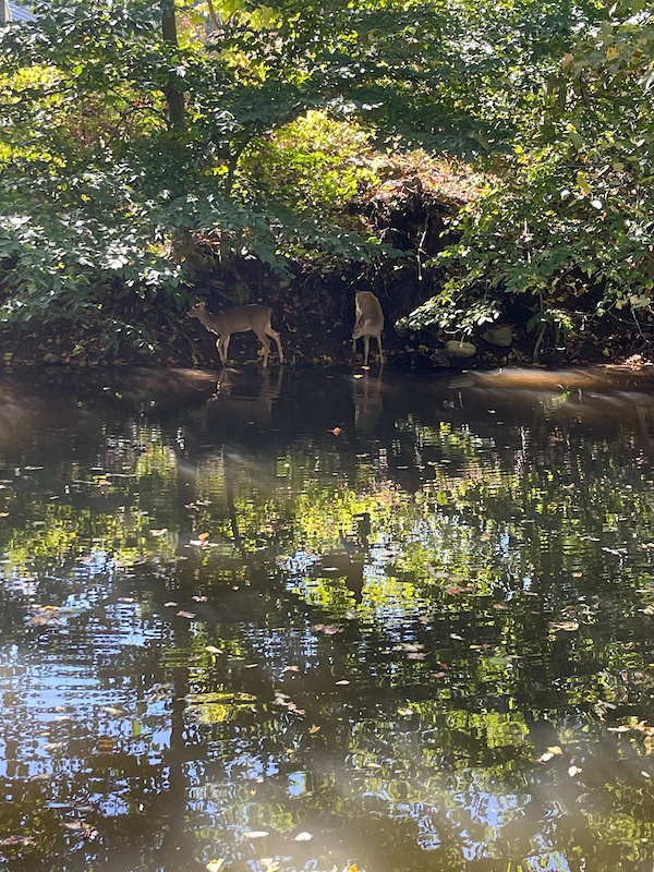Delaware Canal State Park Tow Path Trail (DCNR) Multi Trail ...