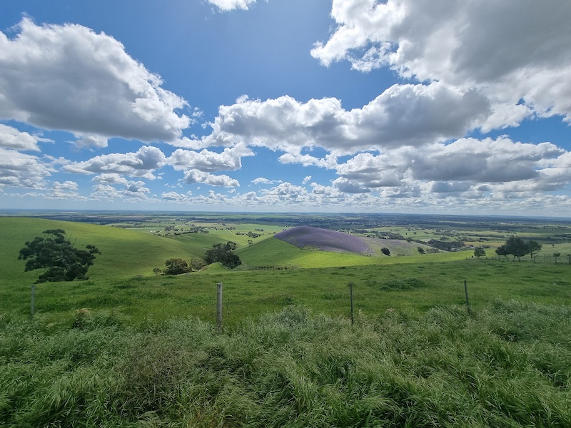 Rifle Range Rd Hike Hiking Trail - | Trailforks