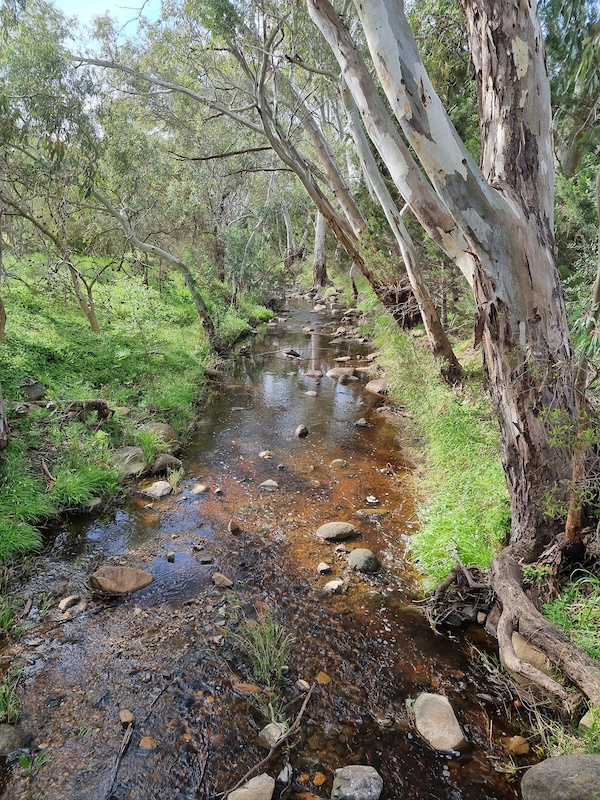 Rifle Range Rd Hike Hiking Trail - | Trailforks