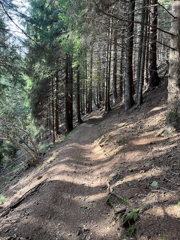 Sentiero dei Carbonai Mountain Biking Trail