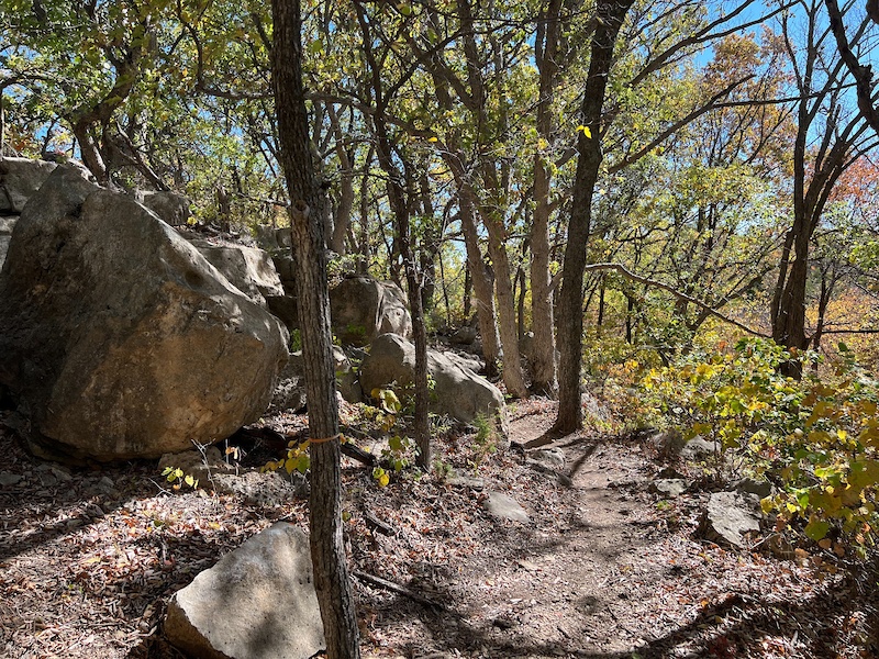 Camp Horizon Mountain Biking Trails | Trailforks