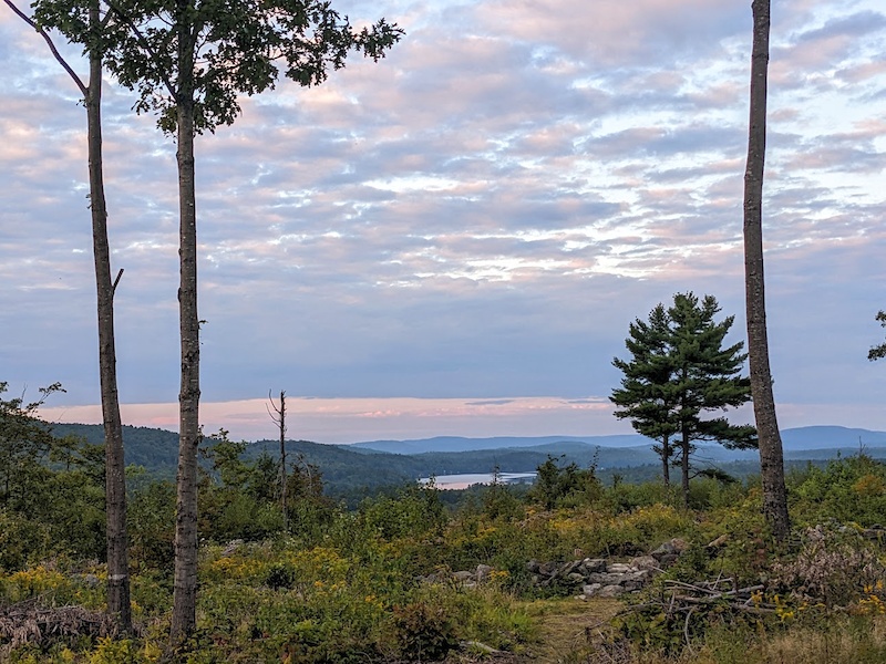 Surrey Hill Mountain Biking Trails | Trailforks