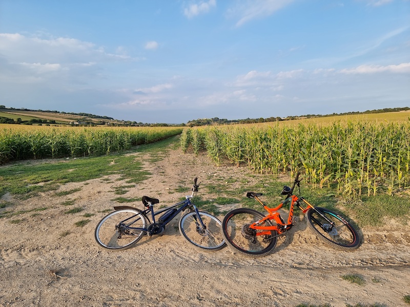 2019 Scott Ransom Tuned 900 Large For Sale