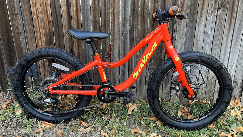 2019 Salsa Timberjack 20" Alloy Tubeless Great Condition! For Sale