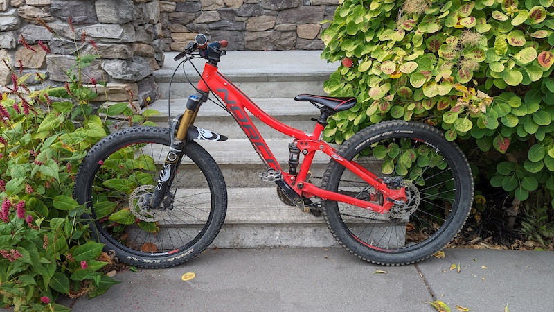 Norco Fluid 24" FS For Sale