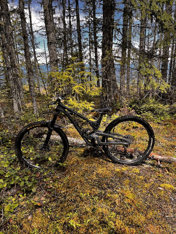 2019 evil calling xx1 build For Sale