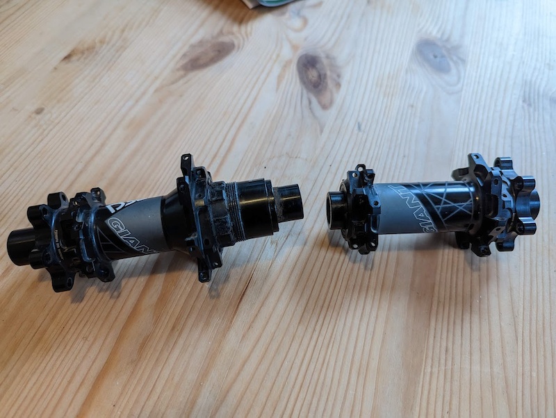 2020 GIANT DT Swiss 360 Hubs 28H Straight Pull For Sale