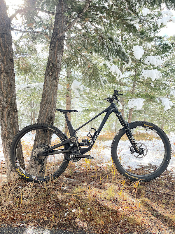 2022 Custom Forbidden Dreadnaught - PRICE REDUCED For Sale