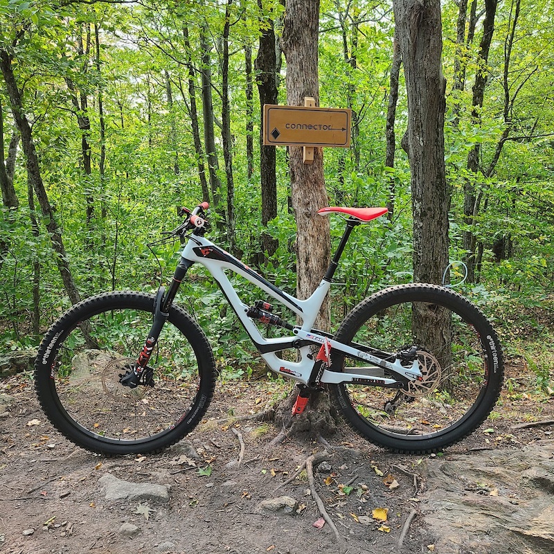 2019 YT Capra 29CF Pro For Sale