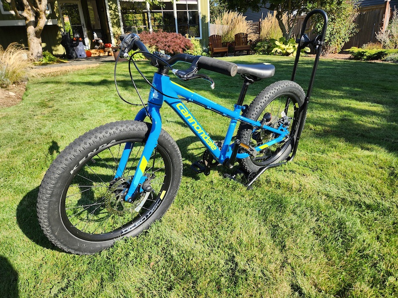 2019 Cannondale Cujo 20+ For Sale