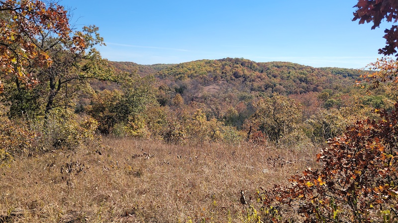 Spring Creek Gap Conservation Area Trail Hiking Trail - Rolla, MO