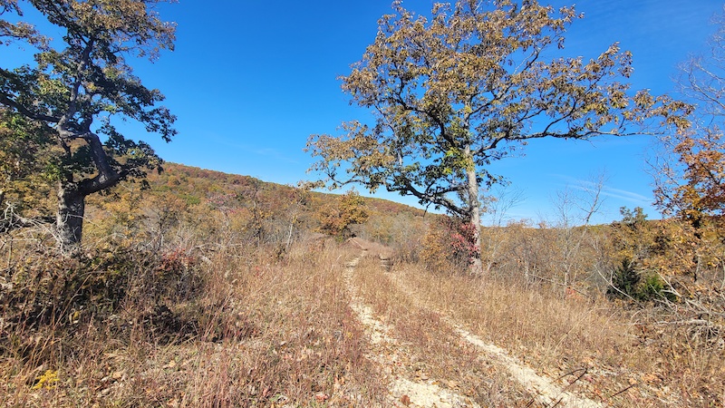 Spring Creek Gap Conservation Area Trail Hiking Trail - Rolla, MO