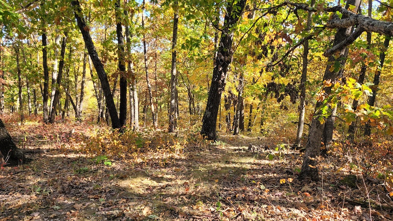 Spring Creek Gap Conservation Area Trail Hiking Trail - Rolla, MO